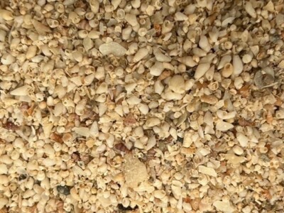 2kg Fine Bird Grit Budgie Canary Supplement | eBay Australia