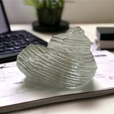 Clear Glass Seashell Paperweight Seashell Figurine Seashell Statue ...