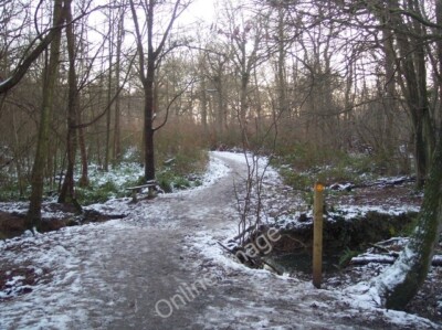 Photo 6x4 Footpath and footbridge in Blean Woods This path leads from ...