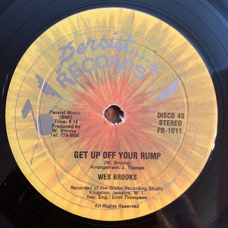 WES BROOKS Get Up Off Your Rump 12'' on Persist NM errol thompson reggae | eBay