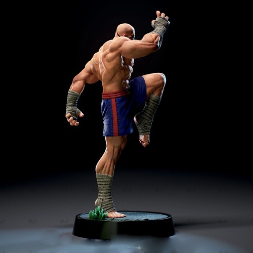 Sagat 1/8 31cm 3D Print Figure Model Kit Unpainted Unassembled Garage ...