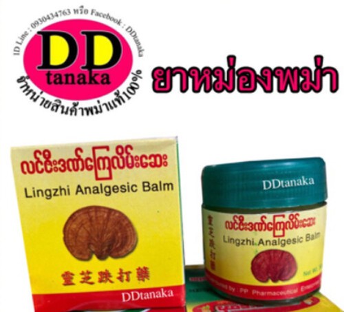 PP Burma balm Lingzhi Analgesic Myanmar Cream Ointment Herbal 30g | eBay
