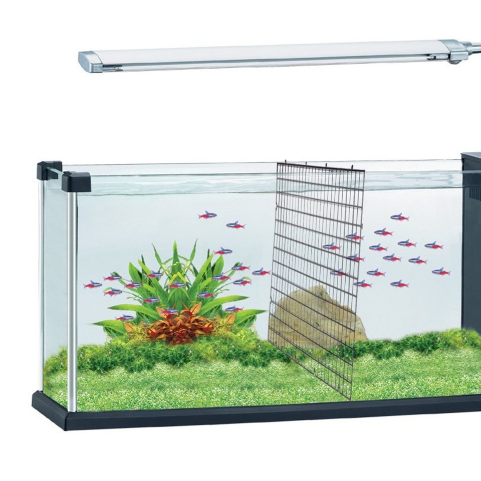 4 Pcs Aquarium Mesh Screen Grid Divider Tray Fish Segregation Board Net ...