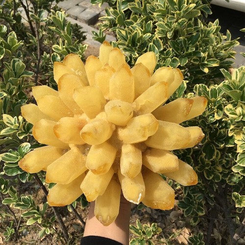 6.6LB Yellow Ghost Quartz Crystal Cluster VUG Heal Specimen Reiki Heal ...