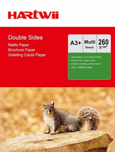 A3 Plus A3+ Matte Photo Paper 260Gsm Double Side Matt Print Inkjet ...