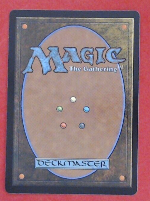 MTG Singles - Shivan Reef - Dominaria United -E55 | eBay