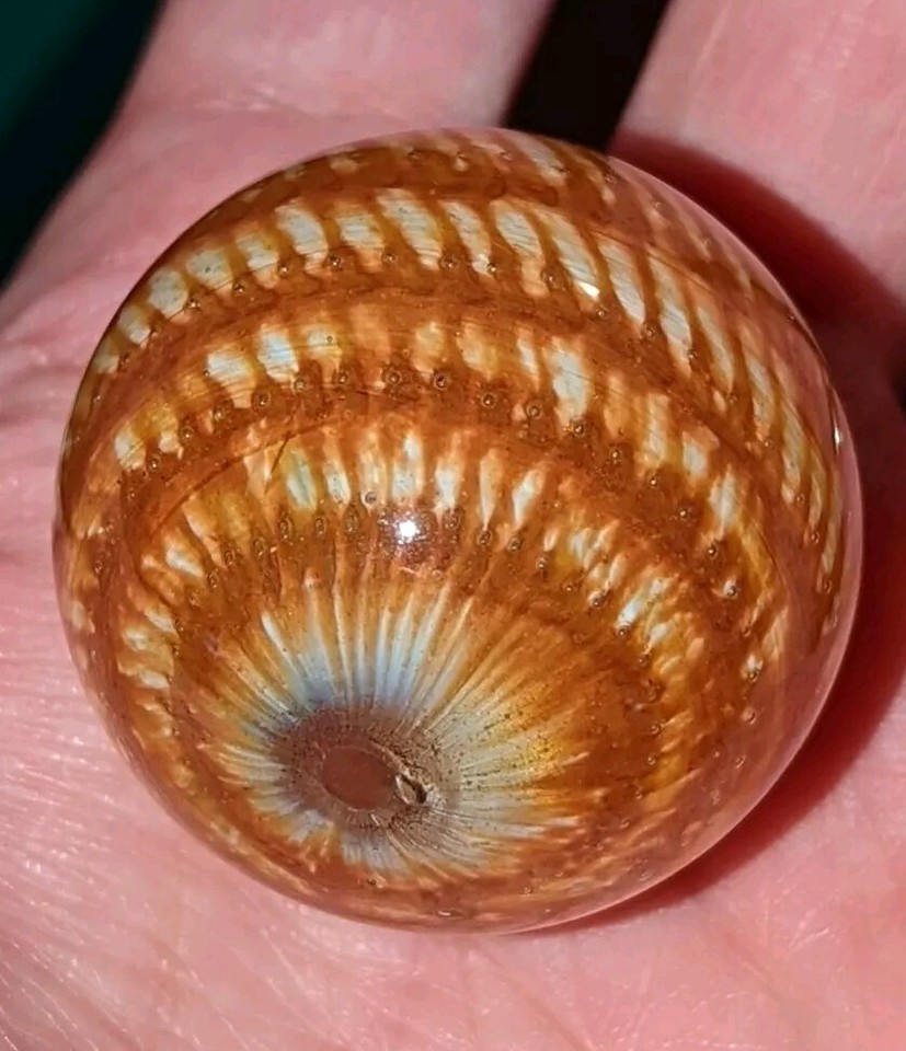 1.55" Marble Handmade Gibson Snakeskin Swirl Art Glass Contemporary ...