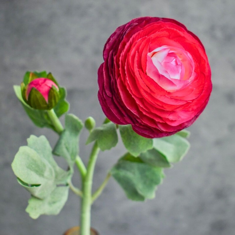 Ranunculus Artificial Flowers, 10Pcs Fake Silk Ranunculus Flowers Faux ...