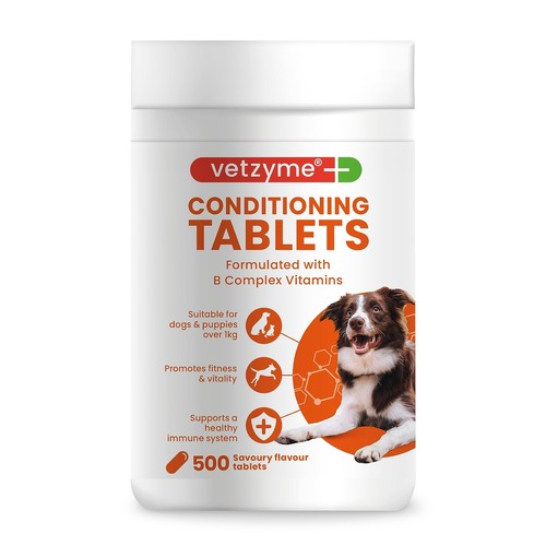 Vetzyme Conditioning Tablets for Dogs (500 Tablets) - With B Complex ...