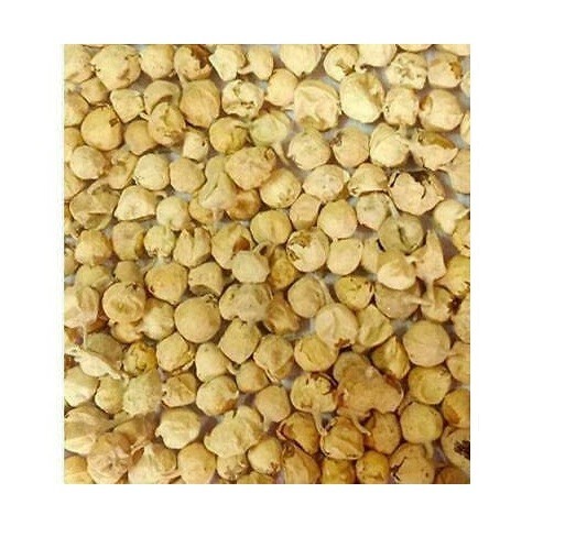 Whole PANEER DODI PHOOL Indian Rennet Withania Coagulans Herbs Panir ...