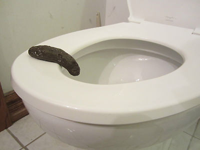 1 NEW PARTY POOPER BATHROOM TOILET GAG GIFT FAKE CRAP HUMAN TURD POOP ...