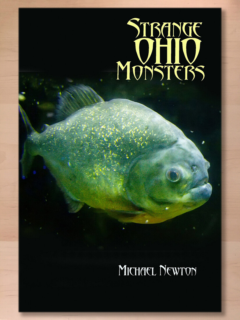 Strange Ohio Monsters by Michael Newton (2013, Trade Paperback) BRAND ...