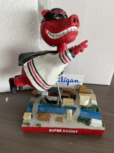 2018 ROCKFORD ICEHOGS SUPER HERO SUPER HAMMY SGA BOBBLEHEAD BLACKHAWKS ...