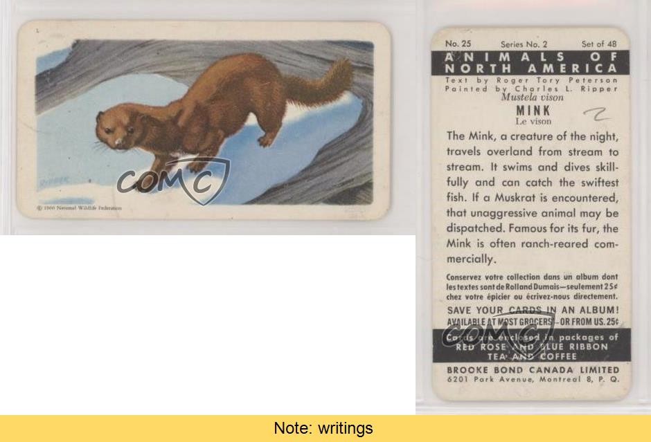 1962 Brooke Bond Red Rose Animals of North America Series 2 Tea Mink ...