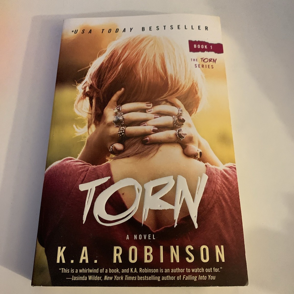 Torn Books Review: In New Novel, Two Smart Teens Protect Country,