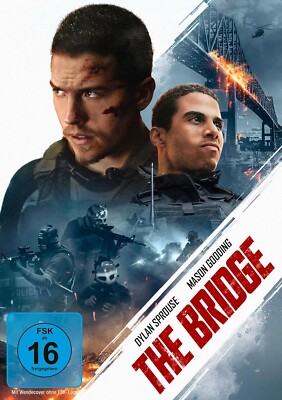 The Bridge - DVD | eBay.de