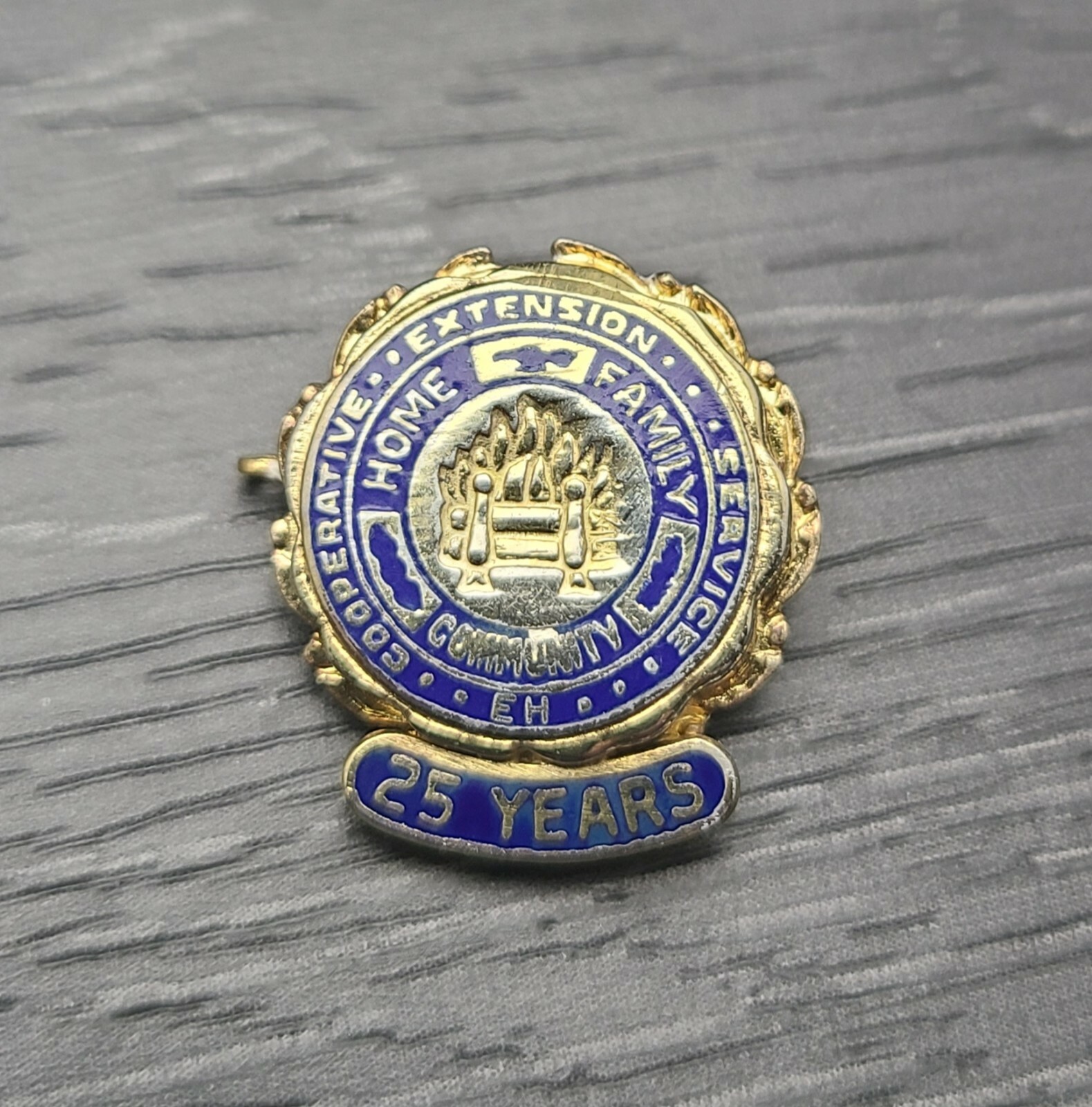 Vintage Sterling Silver Gold Tone EH Home Community Family 25 Year Pin ...