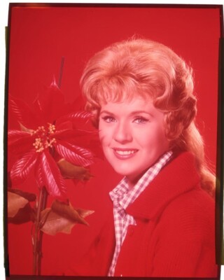 Connie Stevens Vintage Photo Modeling Shoot Original 8x10 Color ...