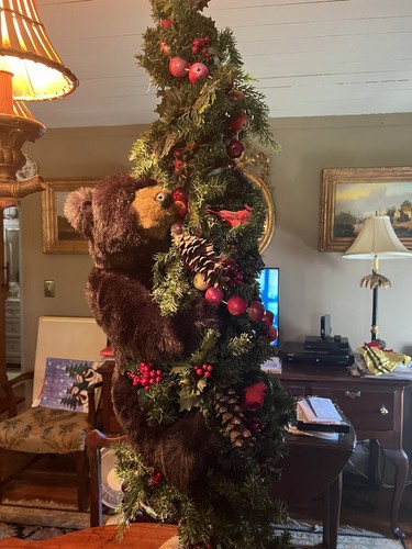 Black Bear in Lighted Holiday Christmas Tree 48” Tall Ditz Designs The ...