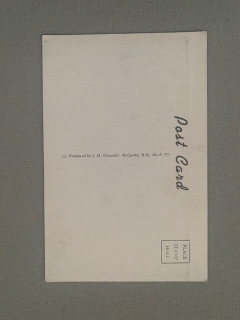 Vintage 1952-53 Detroit Red Wings NHL Hockey Team Issue Postcard-Reggie ...