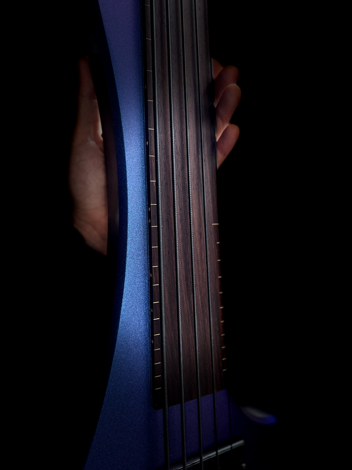 Fretless Bass 5 string Scale 22" Travel Bass FingyBass | eBay