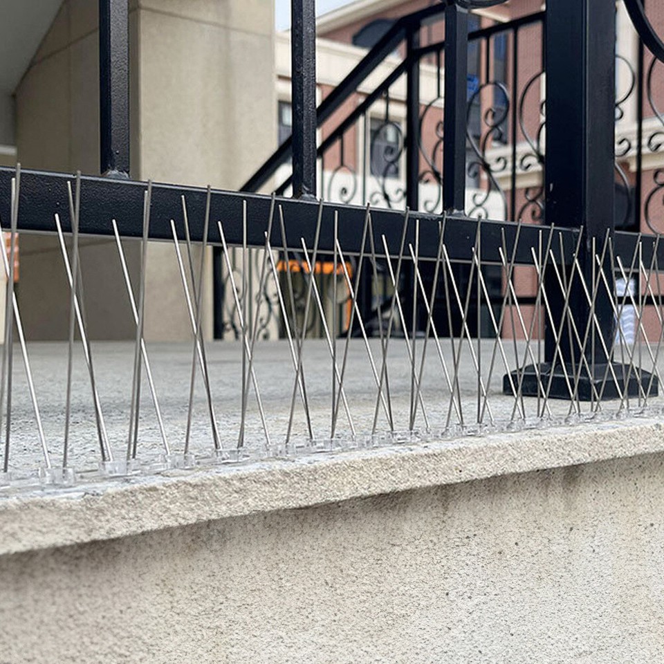 Fence Wall Spikes Spike Defender Anti-theft Bird Spikes Cat Thorn ...