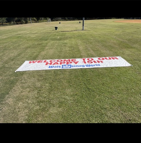 Walt Disney World 15th Anniversary Banner Park Sign Prop Signage Rare ...