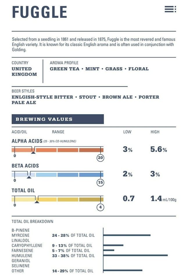 50-100-250g Hops - Citra-Target-Challenger-Fuggles-Saaz-E.K.G-First ...