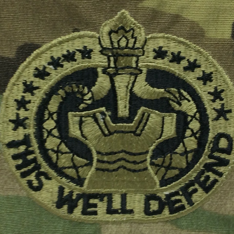 Military Patch Badge Army Drill Instructor Early Ripstop BDU Variant ...