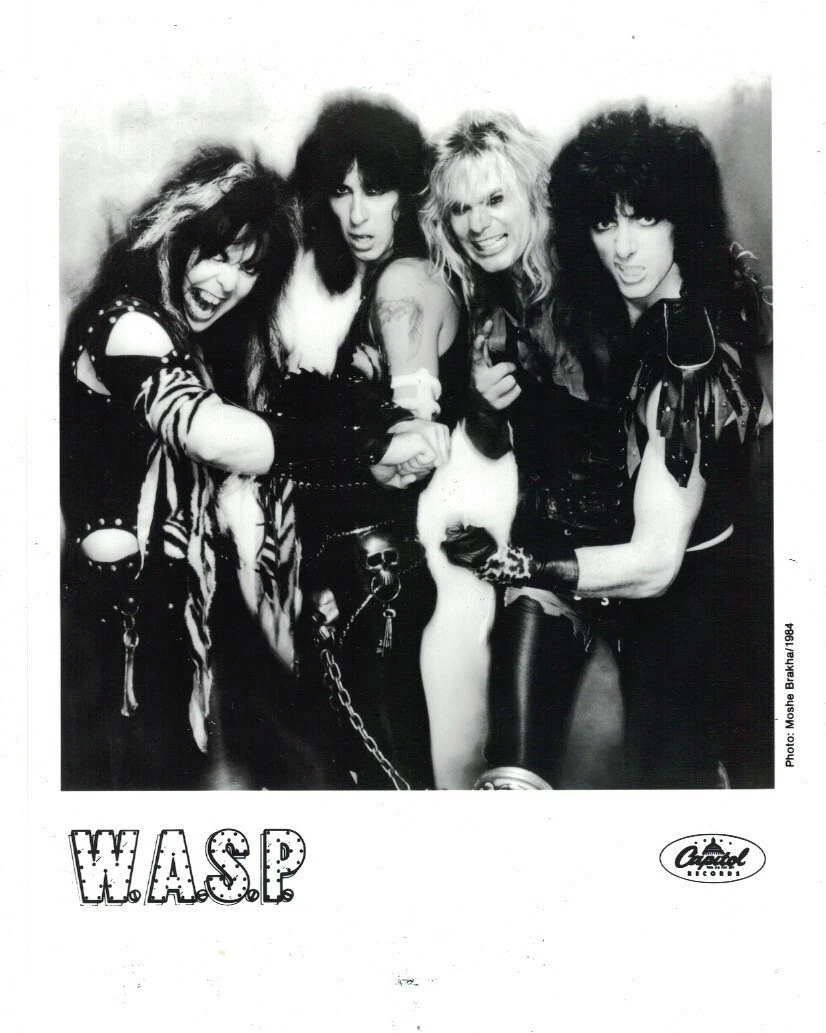 Wasp Band