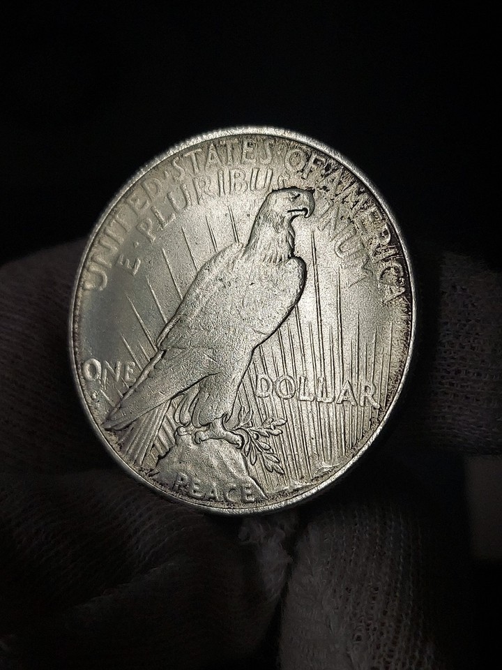 US NOVELTY COIN** 1921 $1 Peace Dollar. Silver Plated. 23 grams. | eBay