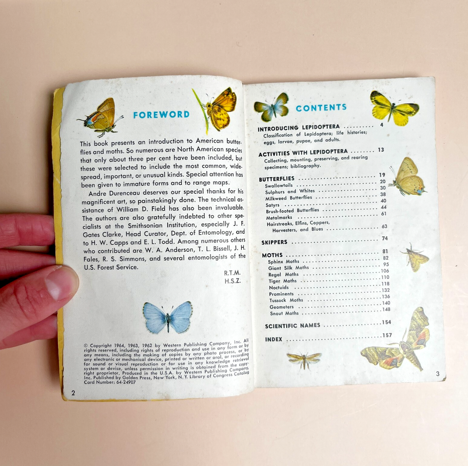 Vintage Golden Nature Guide Book – Butterflies and Moths (1964, 1963 ...