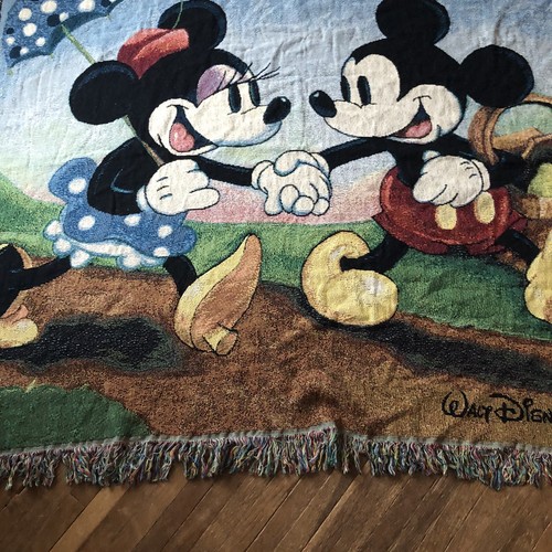 Walt Disney World Mickey & Minnie Mouse Tapestry Fringe Blanket Picnic ...