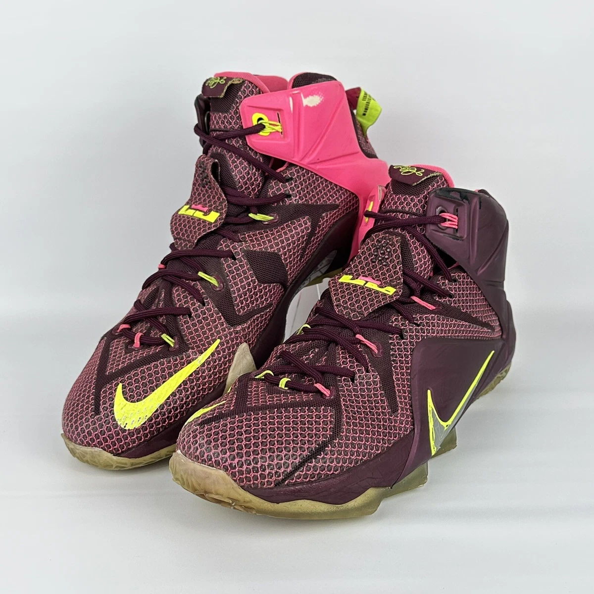 Lebron James Shoes 11