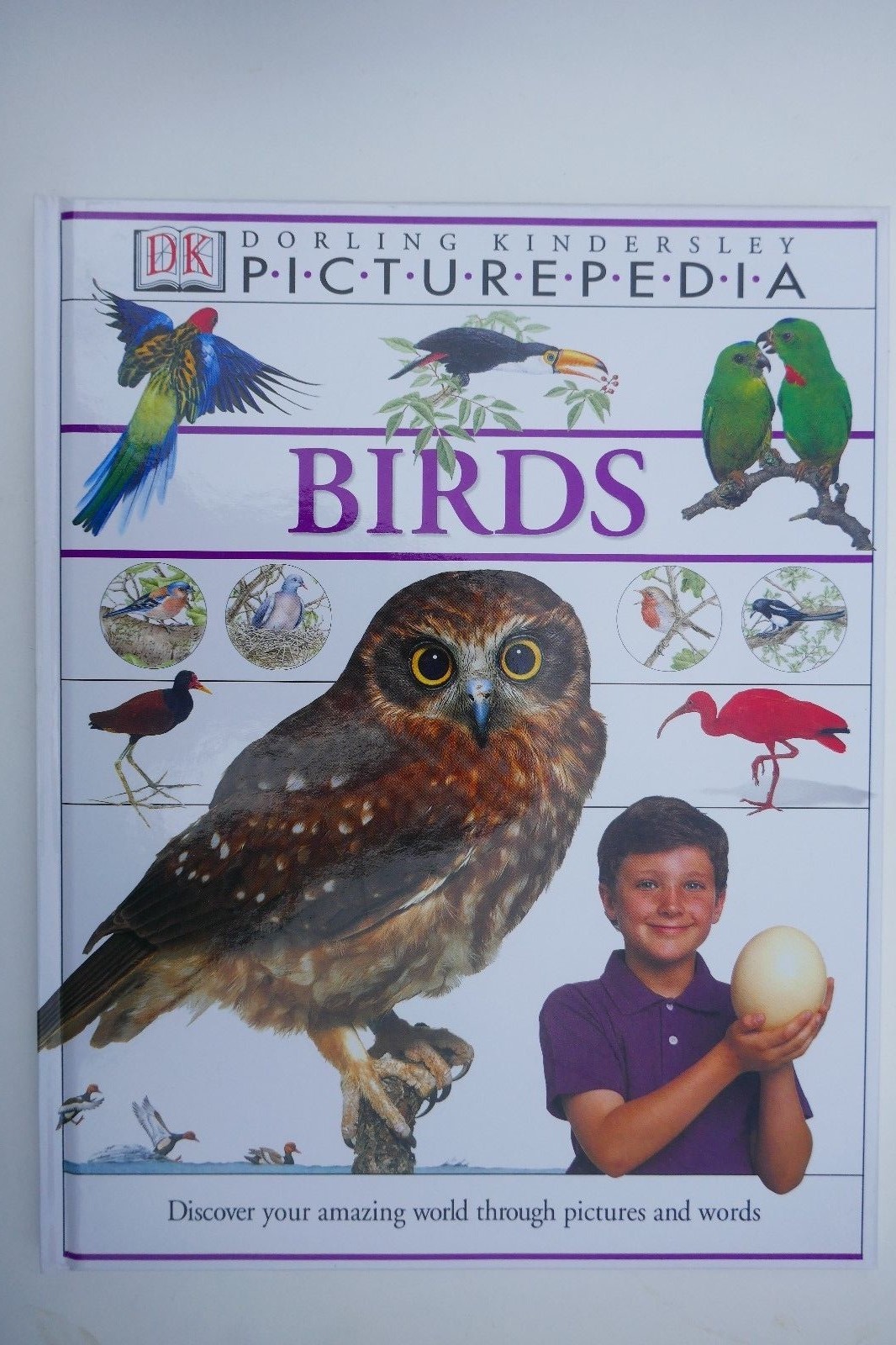 Picturepedia: Birds by Dorling Kindersley (H/b) No.5 of 20, UNREAD ...
