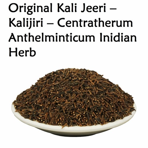 Original Kali Jeeri – Kalijiri – Centratherum Anthelminticum Inidian ...