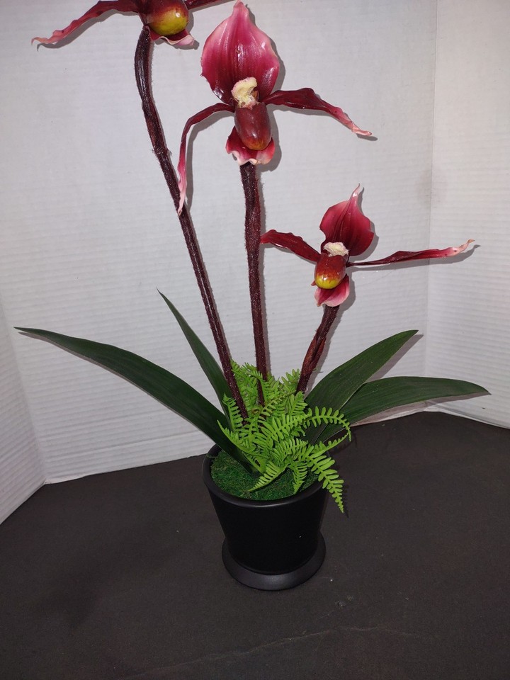 Artificial Phragmipedium Lady Slipper Orchid | eBay