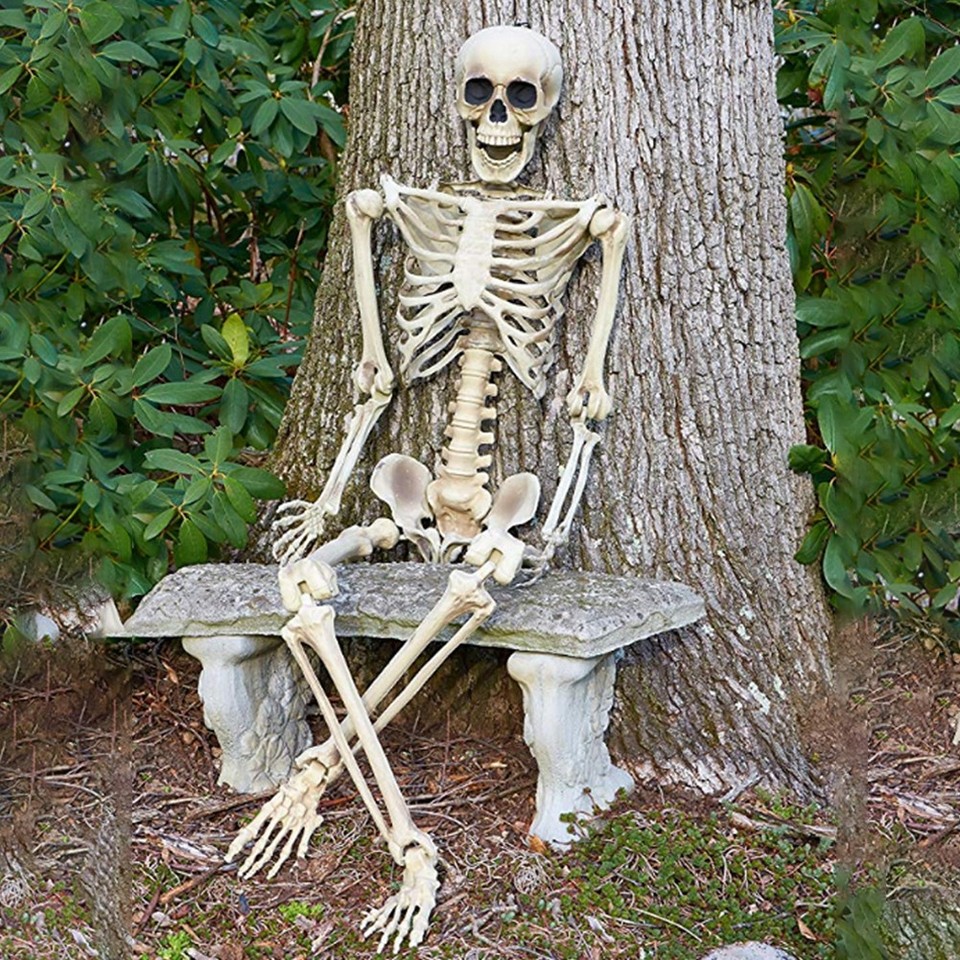 Halloween Life Size Posable Skeleton Full Body Realistic Bones - Party ...