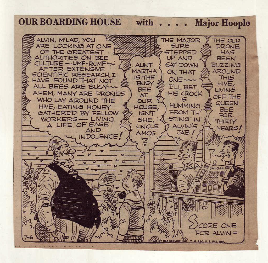 Our Boarding House w/ Major Hoople - 27 large comic panels - Complete ...