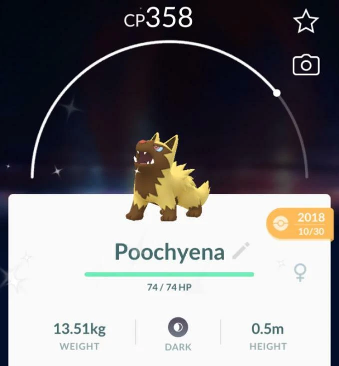 Pokemon Poochyena Shiny