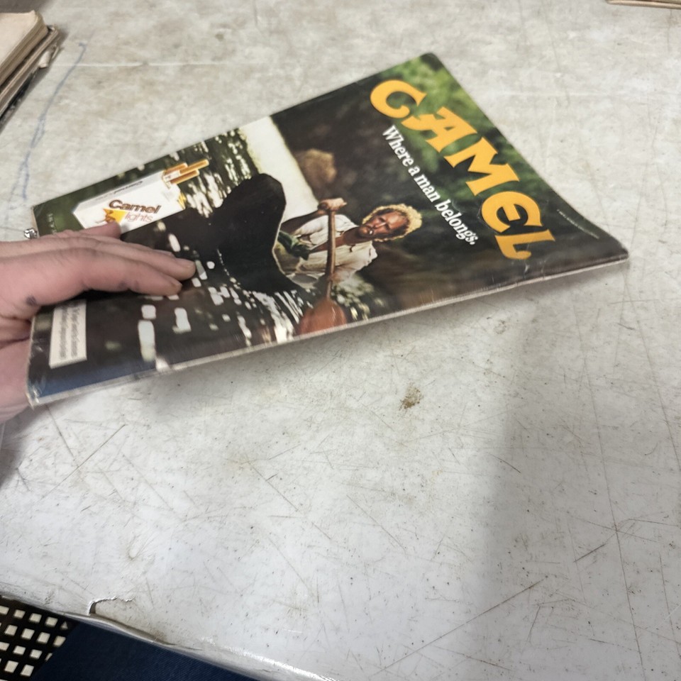 Playboy Magazine February 1981, Playmate Vicki Lynn Lasseter, Roomate Pictorials | eBay