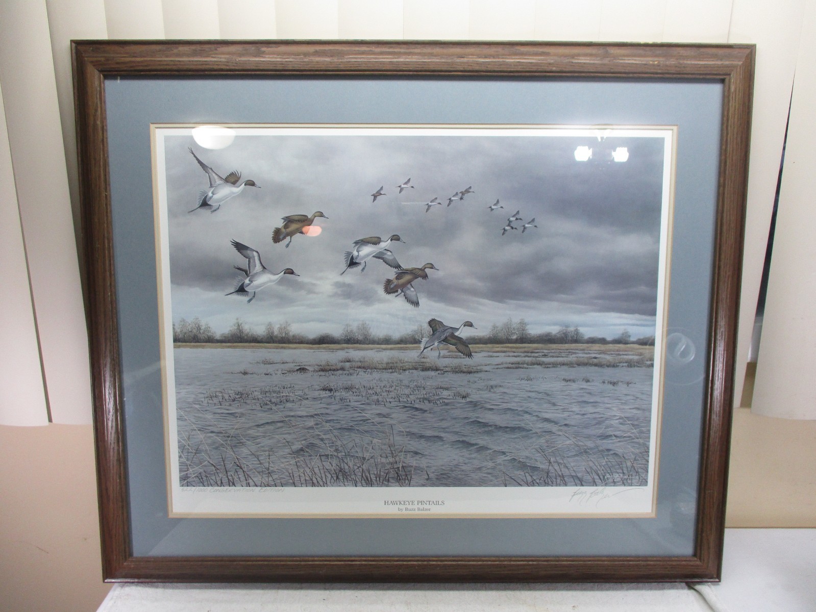 Vintage 1985 HAWKEYE PINTAILS DUCKS Framed Print Signed by Buzz Balzer ...