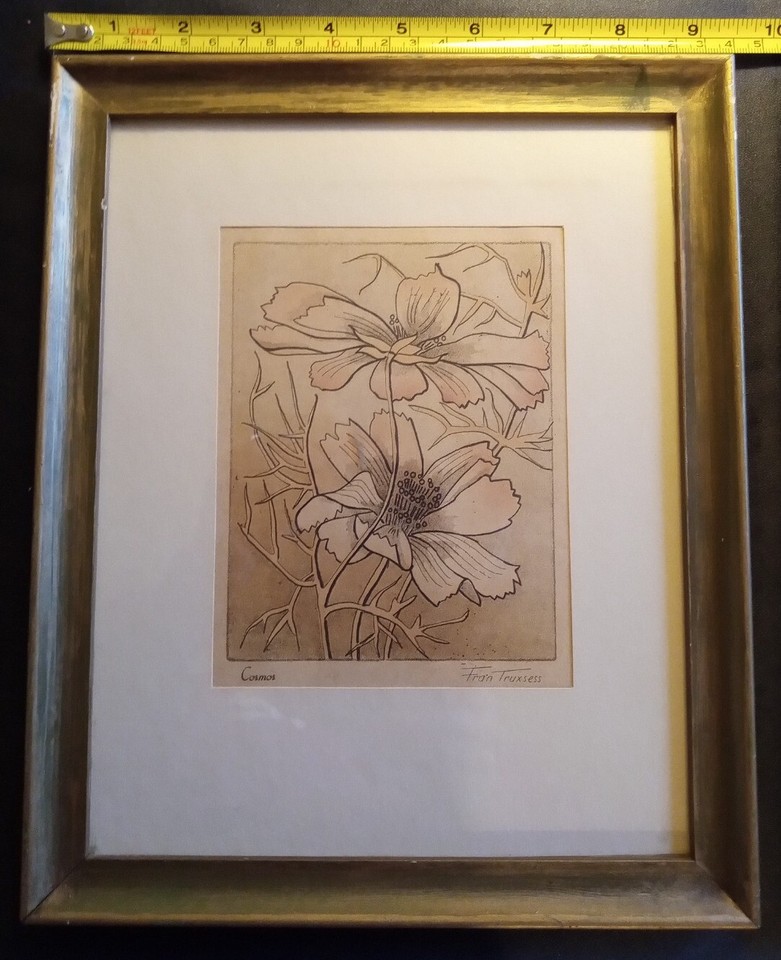 Vintage Fran Truxsess Prism Prints Matted & Framed COSMOS Prints Pair 9 ...
