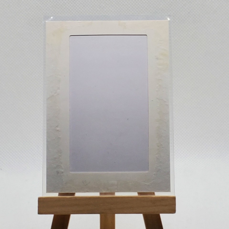 Steve Nash 2008-09 Topps NBA Rip Card #9/99 Suns Card Has Been Ripped ...