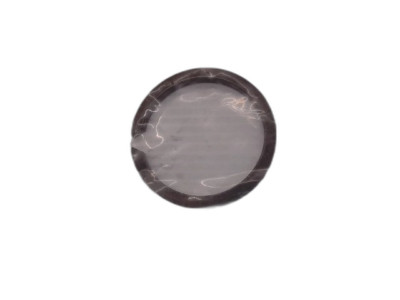 Navistar International Truck 1670500C1 RING | eBay