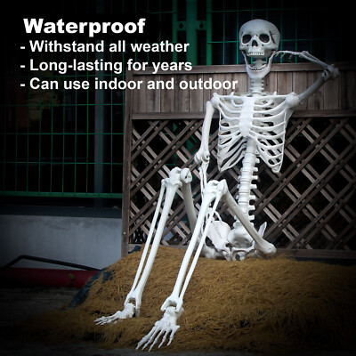6FT Halloween Hanging Skeleton Posable Life Size Skeleton Hanging ...