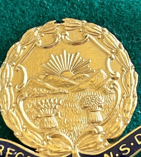 Ohio DAR. Ex-Regent Pin gf | eBay