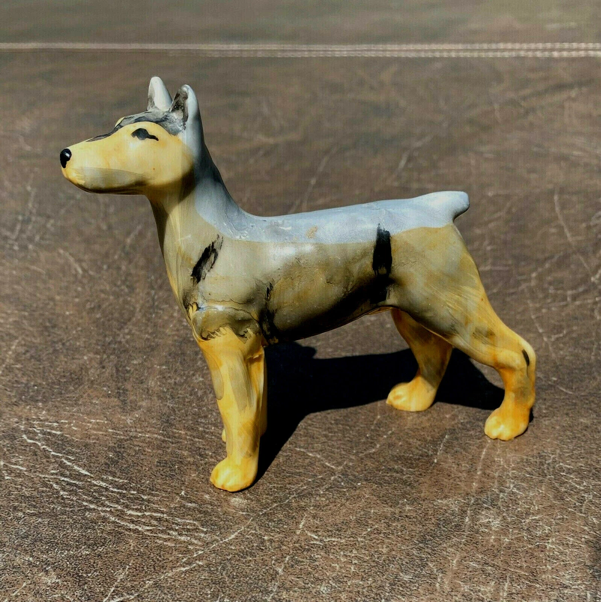 Grey Doberman Pinscher