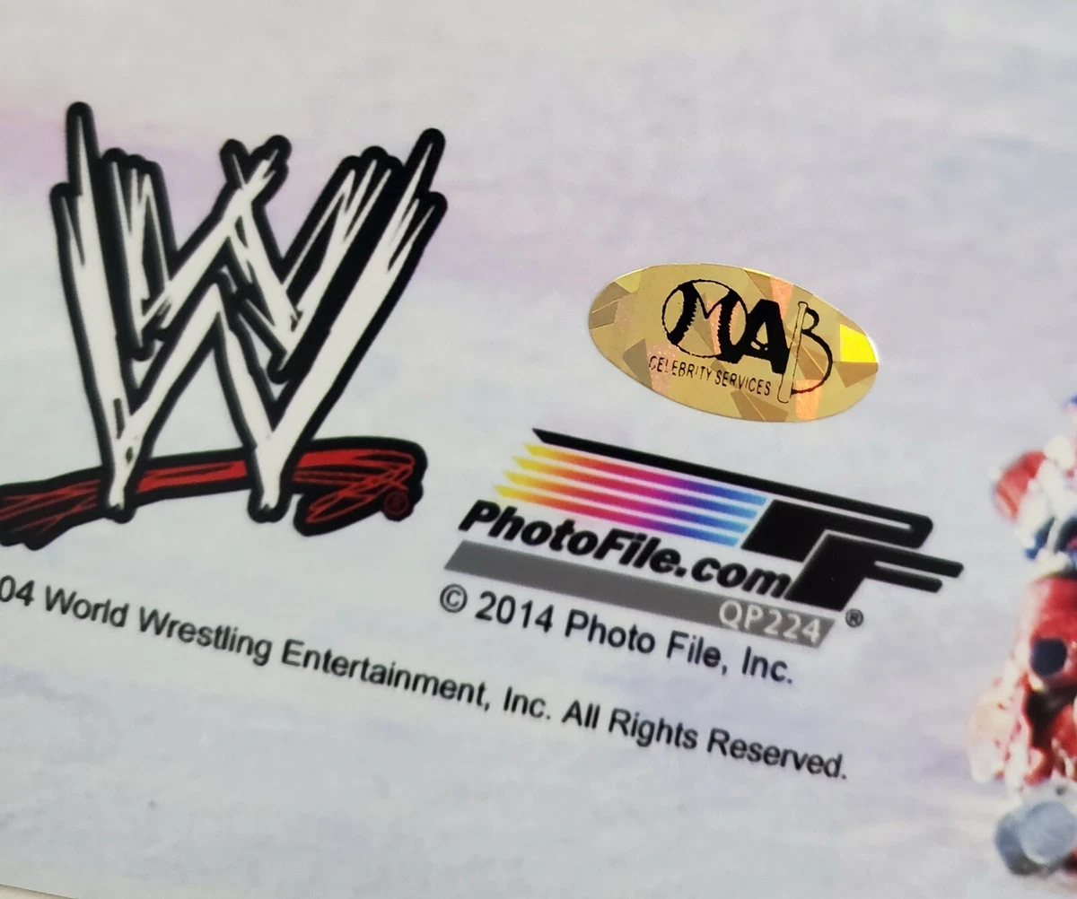 Wwe Hbk Logo