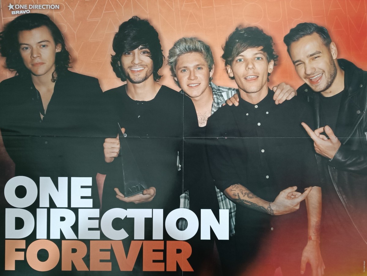 One Direction Plakat
